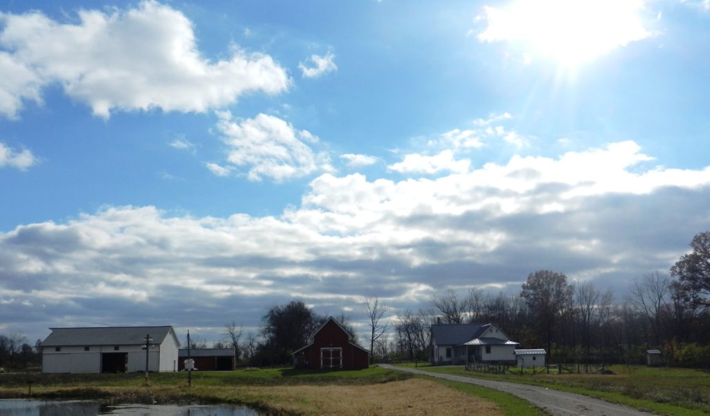 As Sands through the Hourglass ... - Preservation Parks of Delaware County