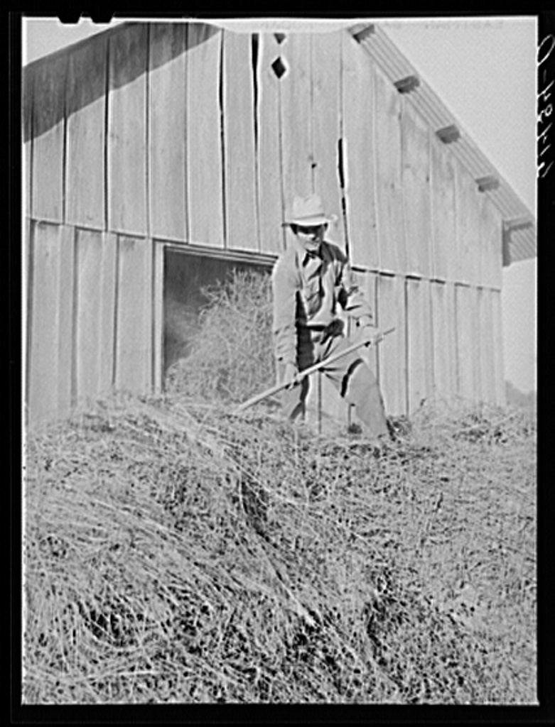 Makin' Hay - Preservation Parks of Delaware County