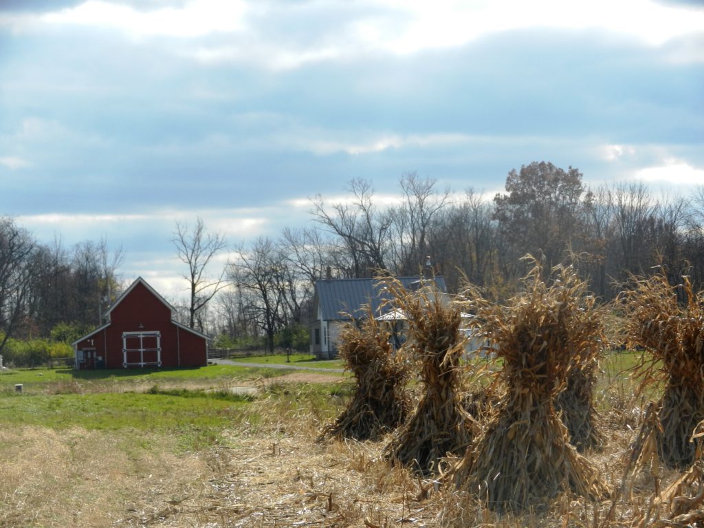 Bringing in the Corn - Preservation Parks of Delaware County