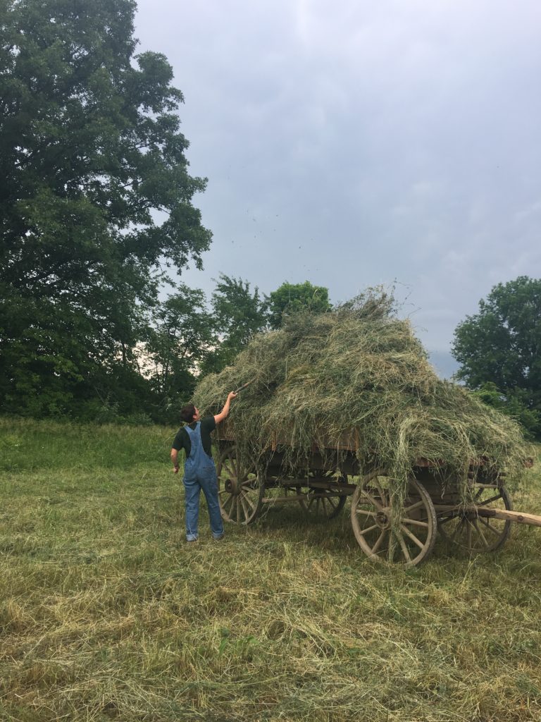 Making Hay with Conservation in Mind - Preservation Parks of Delaware ...