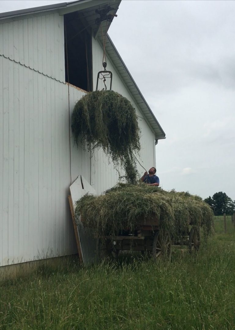 Making Hay with Conservation in Mind - Preservation Parks of Delaware ...