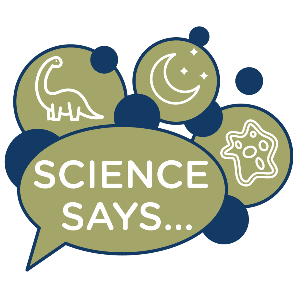 Making Summer Plans - Preservation Parks of Delaware County