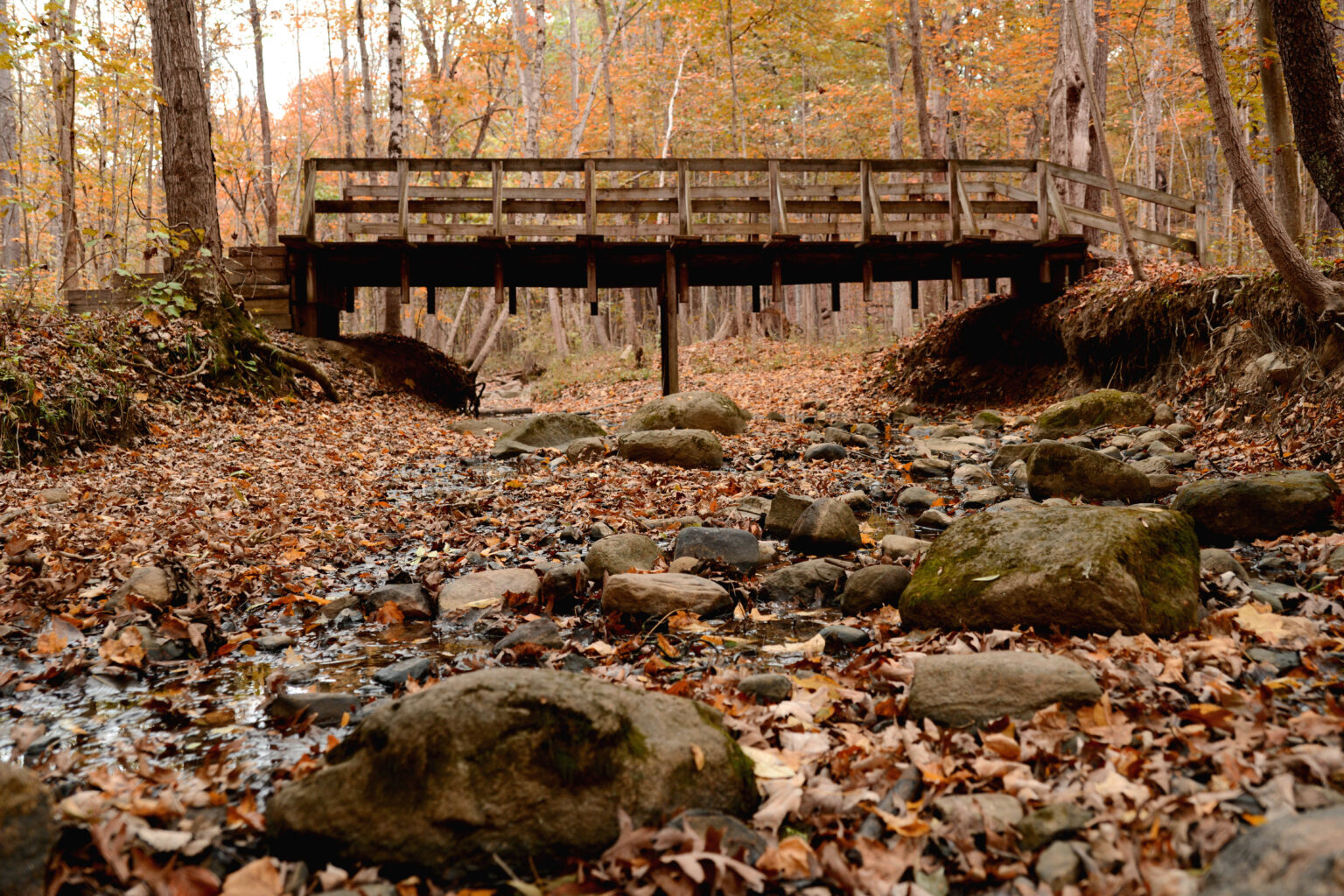 Hogback Ridge Park - Preservation Parks of Delaware County