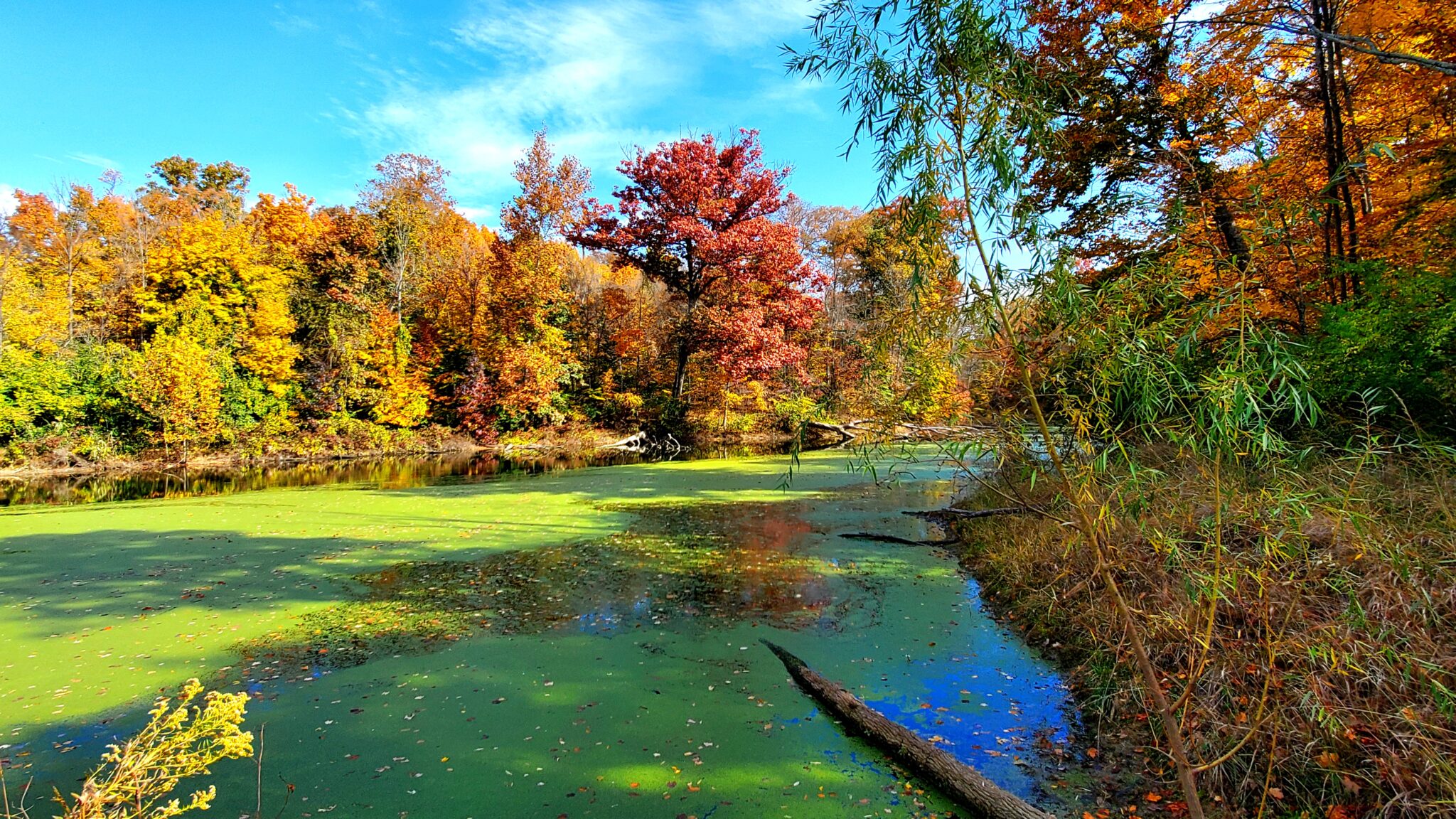 McCammon Creek Park - North Area - Preservation Parks of Delaware County