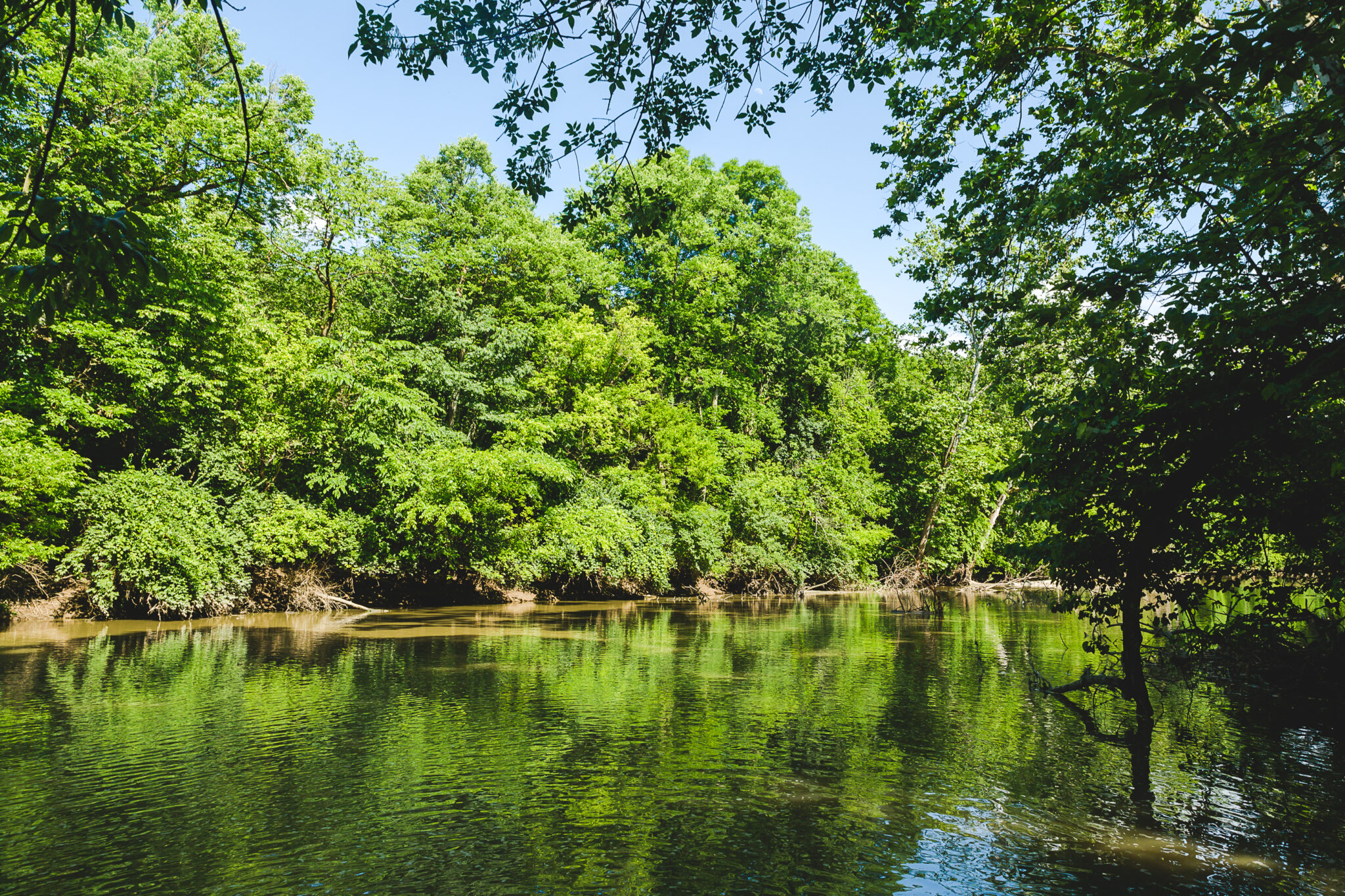 McCammon Creek Park - North Area - Preservation Parks of Delaware County