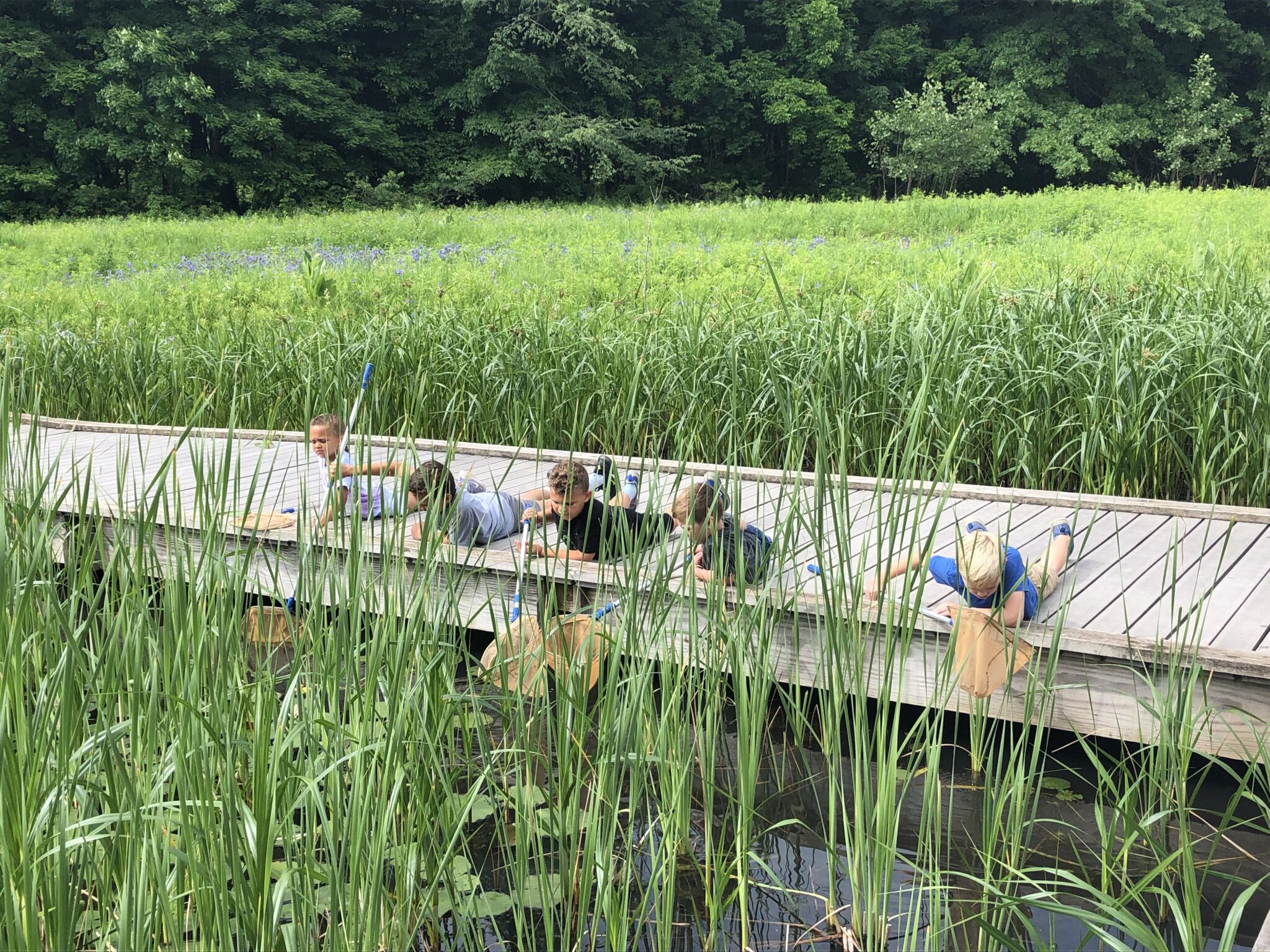 Deer Haven Park History - Preservation Parks of Delaware County