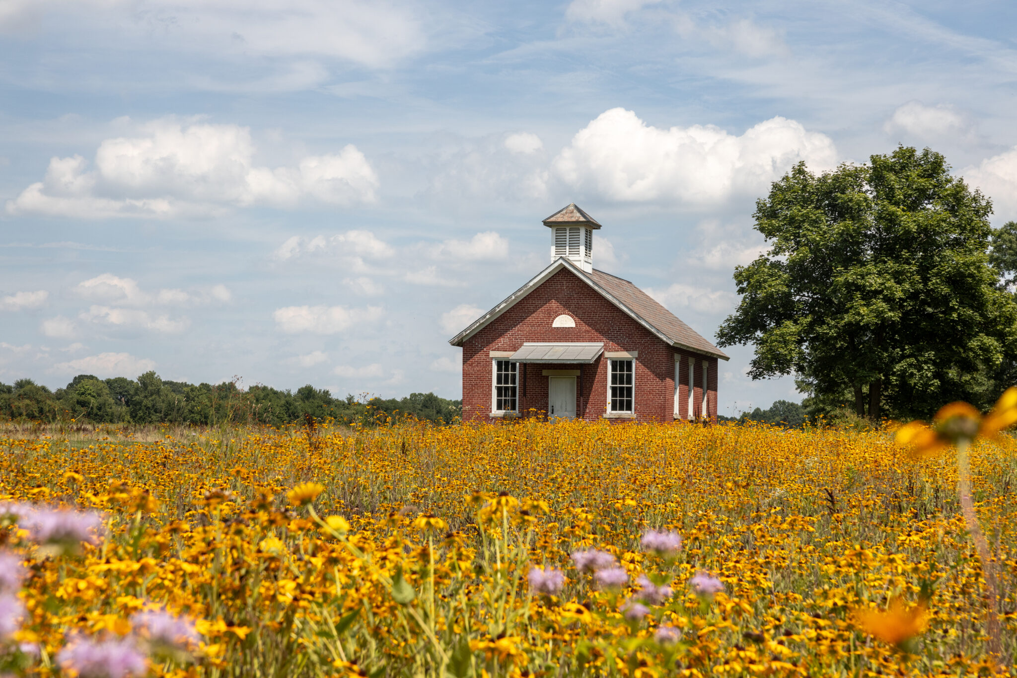Hogback Ridge Park - Preservation Parks of Delaware County