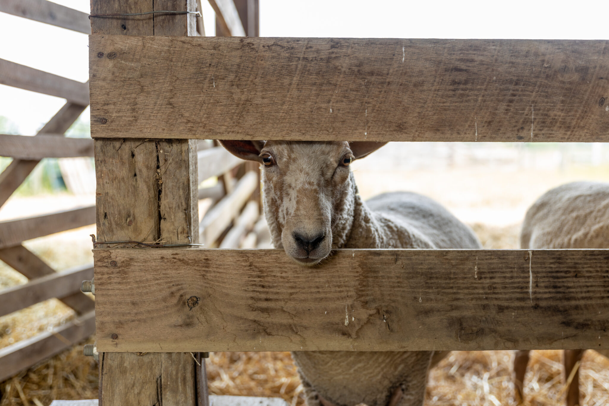 Gallant Farm History - Preservation Parks of Delaware County